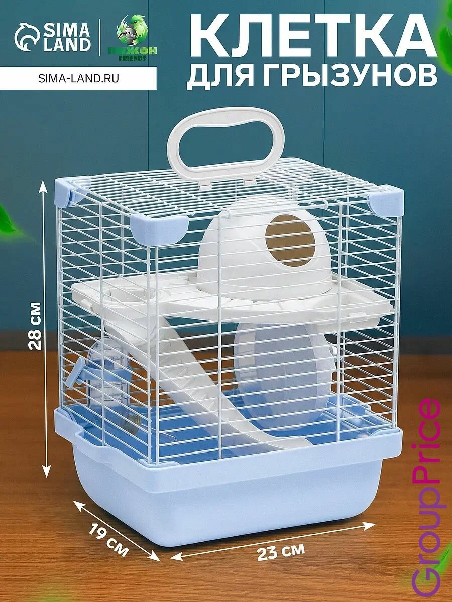 Клетка для грызунов укомплектованная, 23×19×28 см, голубая Пижон