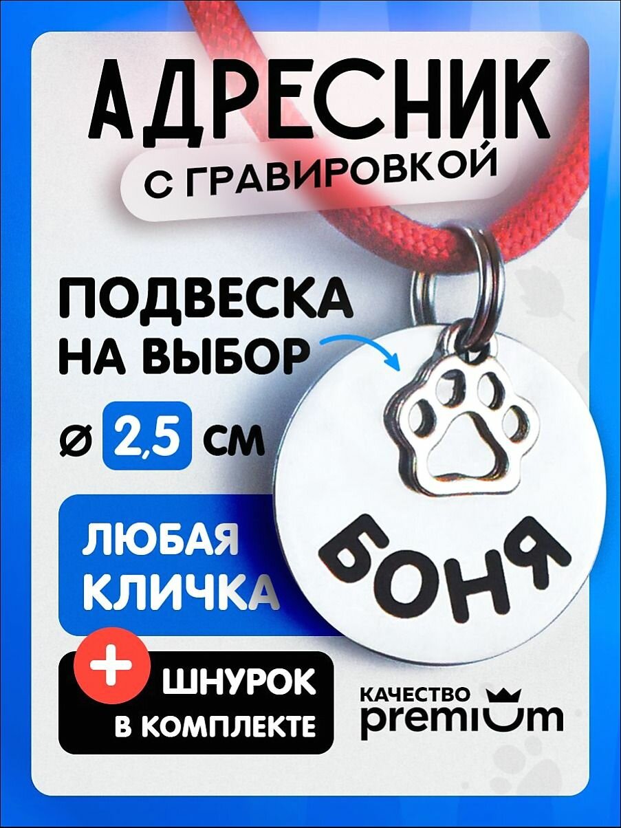 Адресник для собак и кошек с гравировкой. Регулируемый шнурок, нержавеющая сталь, круглый 25 мм. Чудолапки