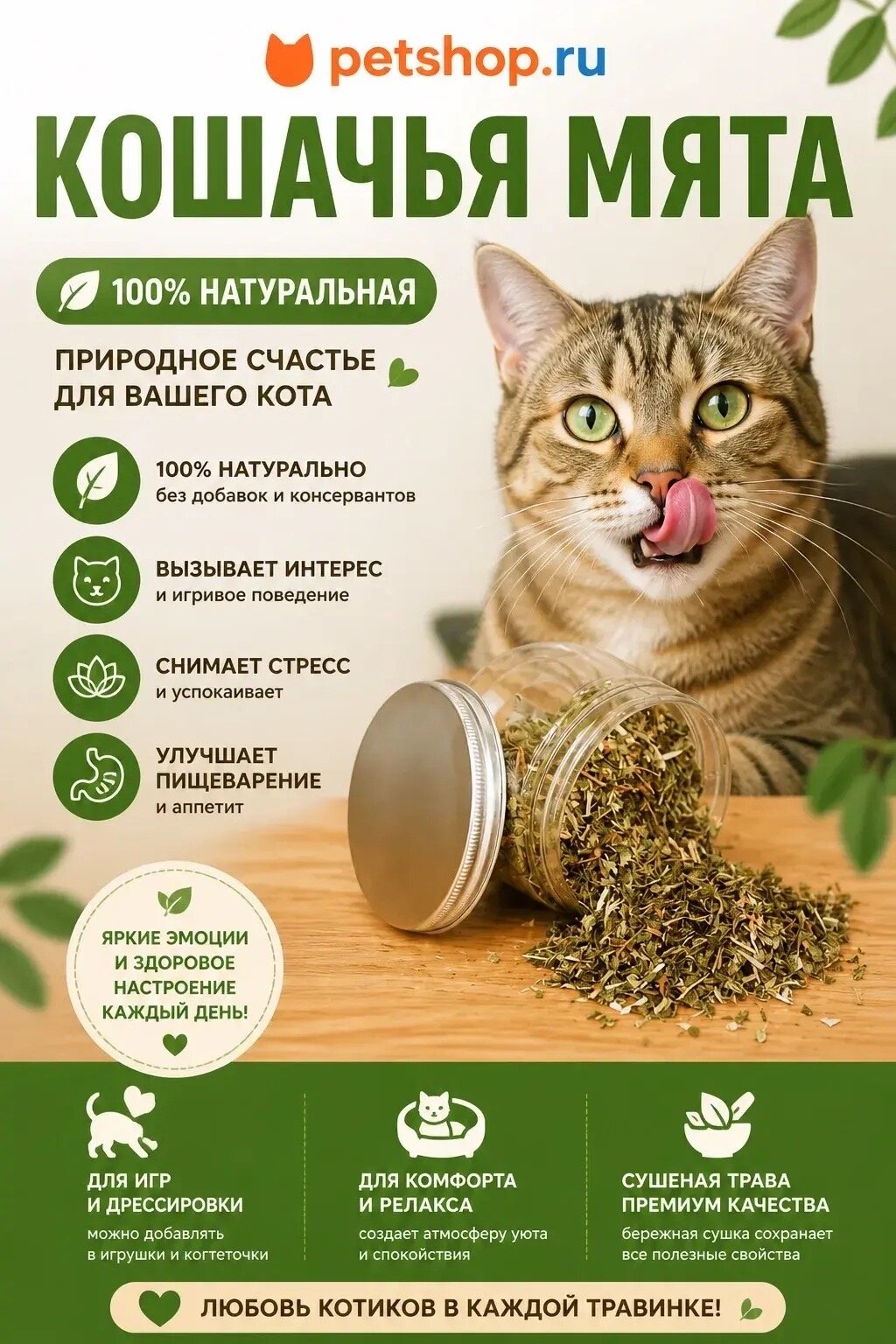 Кошачья мята, высушенная, измельченная