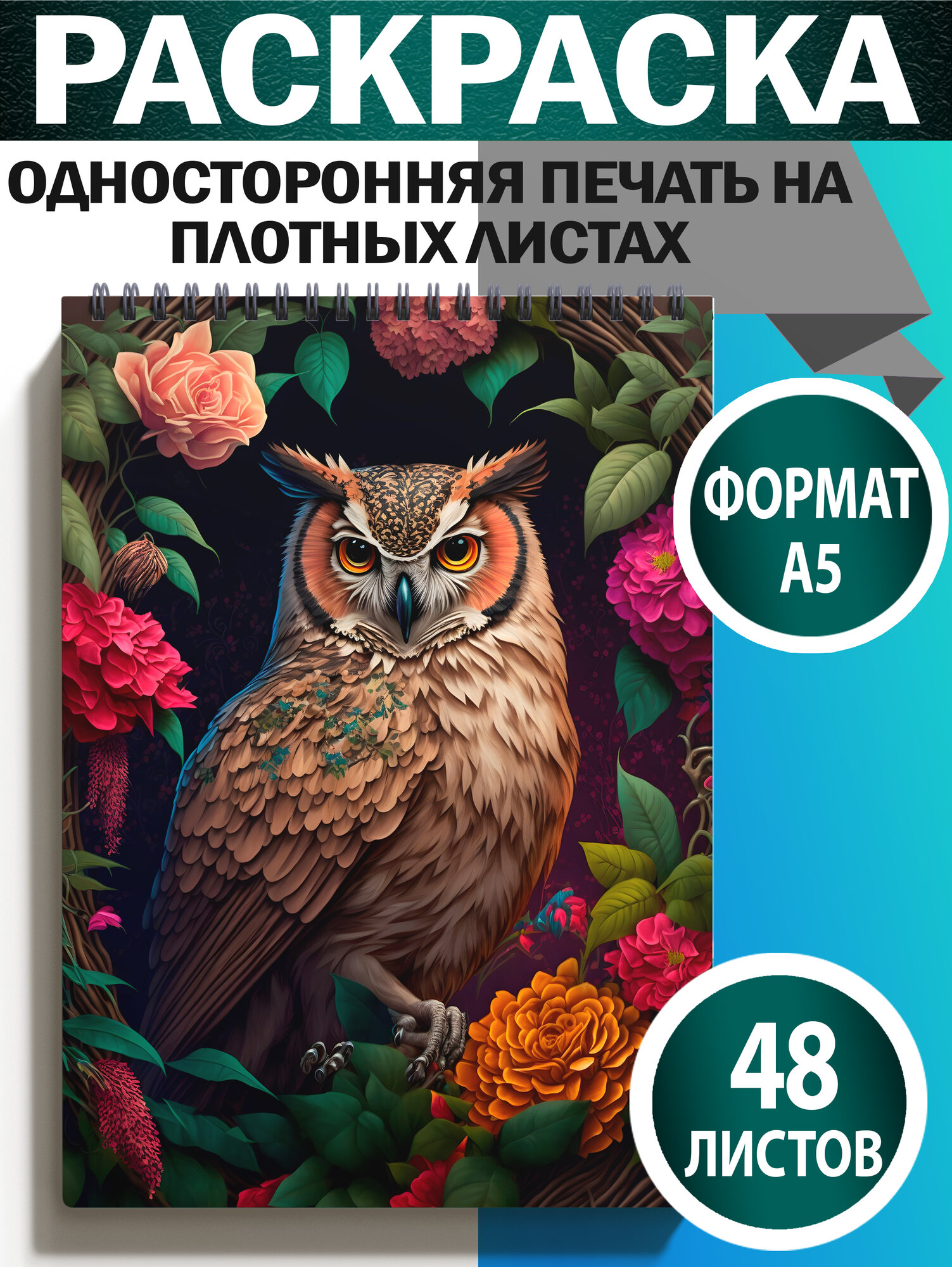 Раскраска Совы