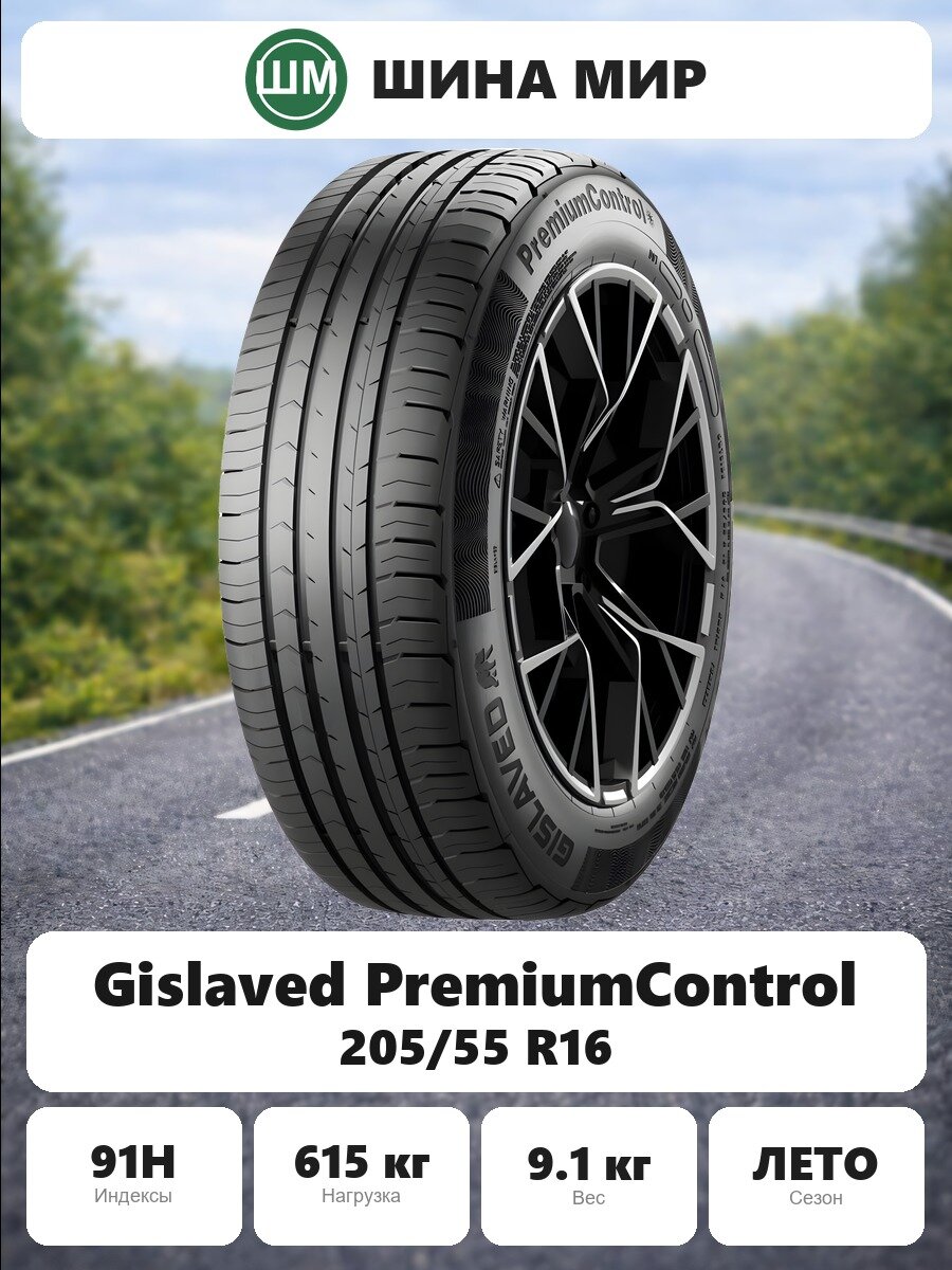 Шина Gislaved PremiumControl 205/55 R16 91H Летняя Нешипованная