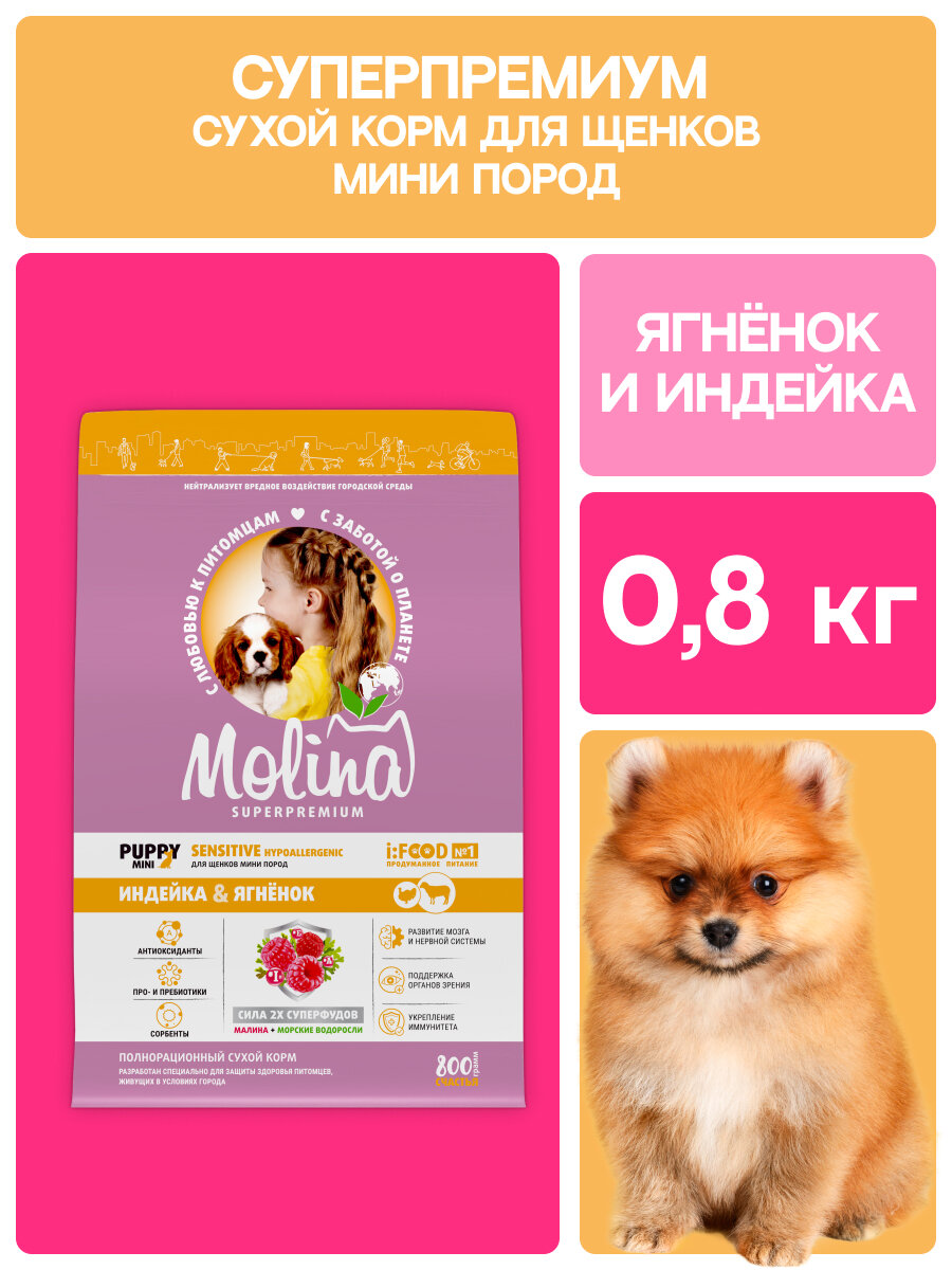Сухой корм для щенков и молодых собак мелких пород с индейкой и ягненком PUPPY & JUNIOR MINI, 0,8 кг MOLINA