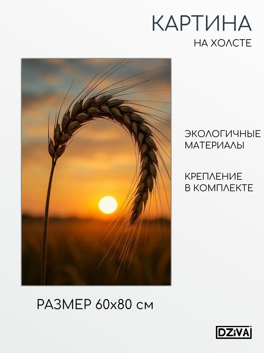 Картина на холсте Закат и пшеница 60x80 см