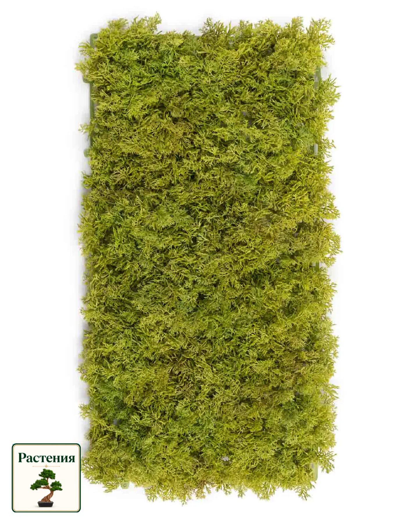 Мох Ягель светло-зелёный микс (коврик) искусственный 50 х 50 х 4 TREEZ Collection, желто-зеленый, без кашпо