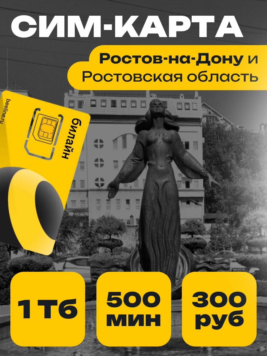 Сим-карта Билайн тариф Эксклюзивный Ростовская область 1000 Гб + 500 минут за 300 руб.