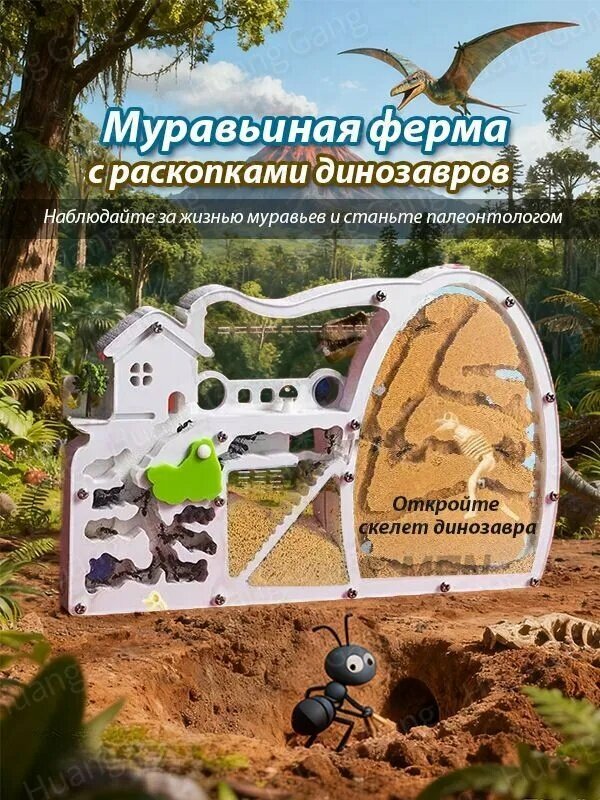 Уникальный набор Муравьиная ферма с раскопками динозавров Наблюдайте за жизнью муравьев и станьте палеонтологом Образовательная игрушка для детей