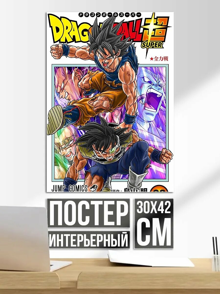 Плакат постер Сон Гоку и Бардок