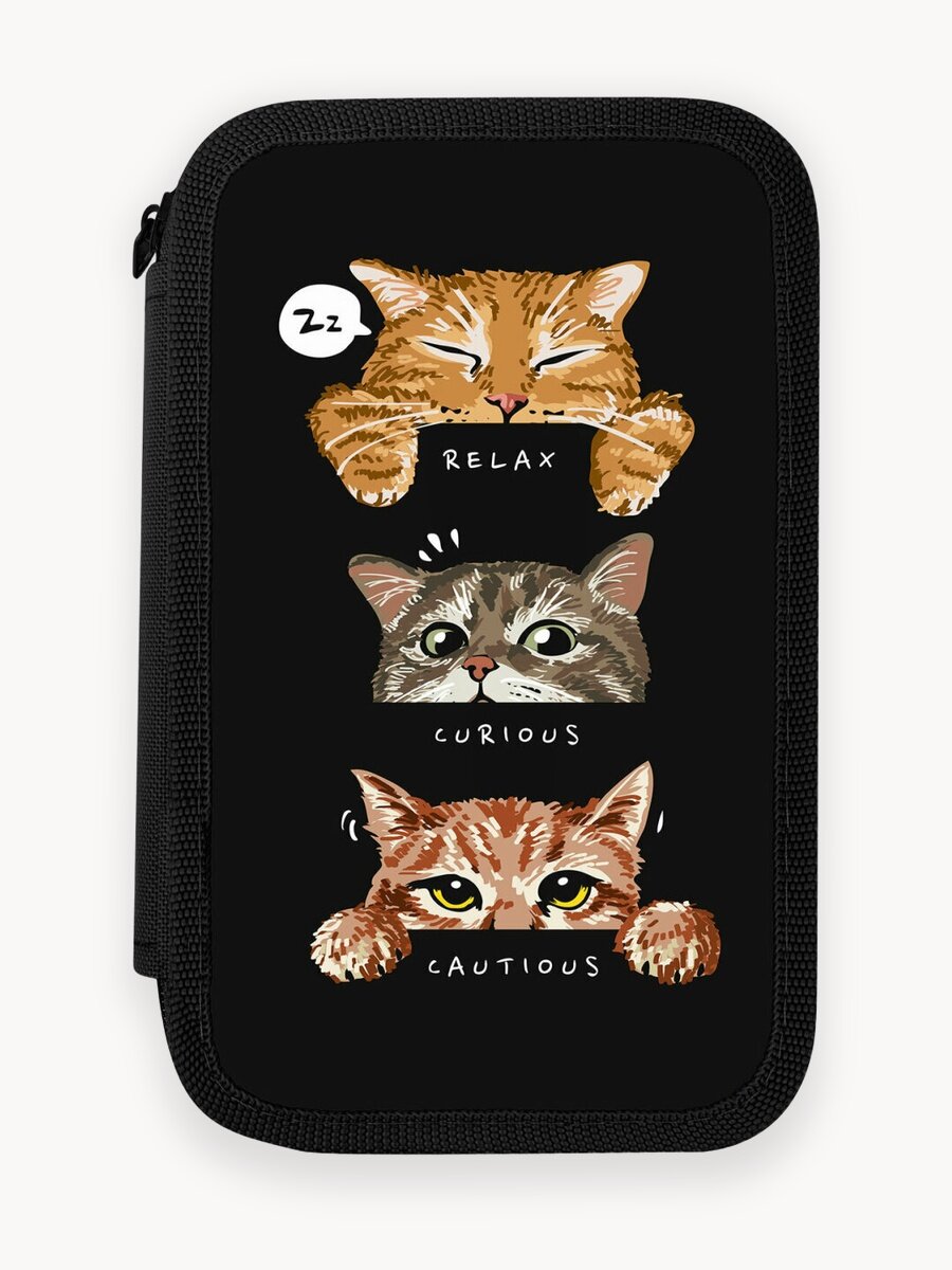 Пенал школьный для карандашей и ручек с 3 отделениями, канцелярия для школы, ламинированный картон, 19х11 см, Пифагор Cool trio, 273486