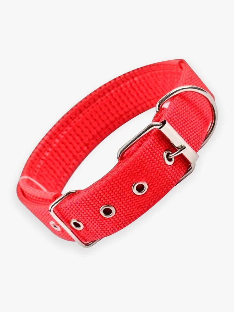 Ошейник с пряжкой