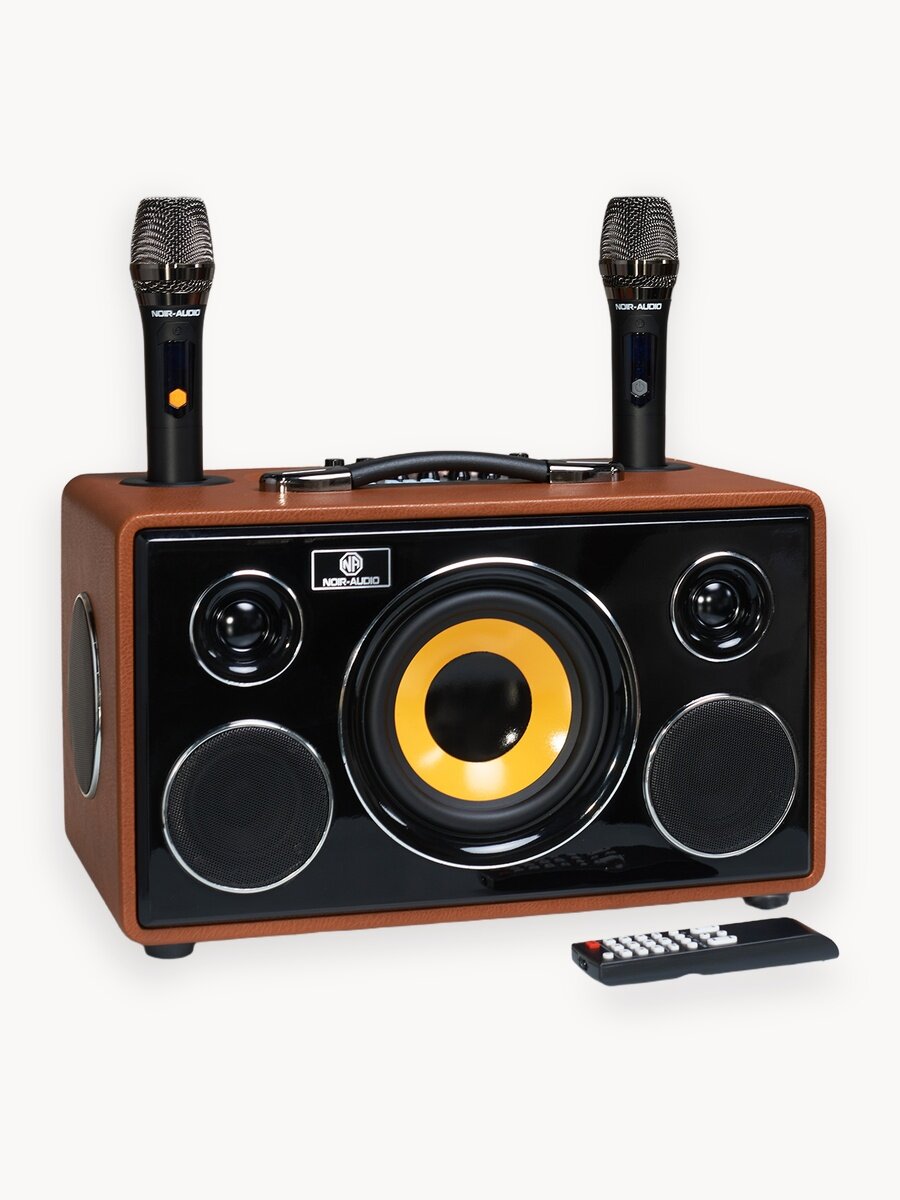 Караоке система NOIR-audio MAX-300 с двумя беспроводными микрофонами и колонкой