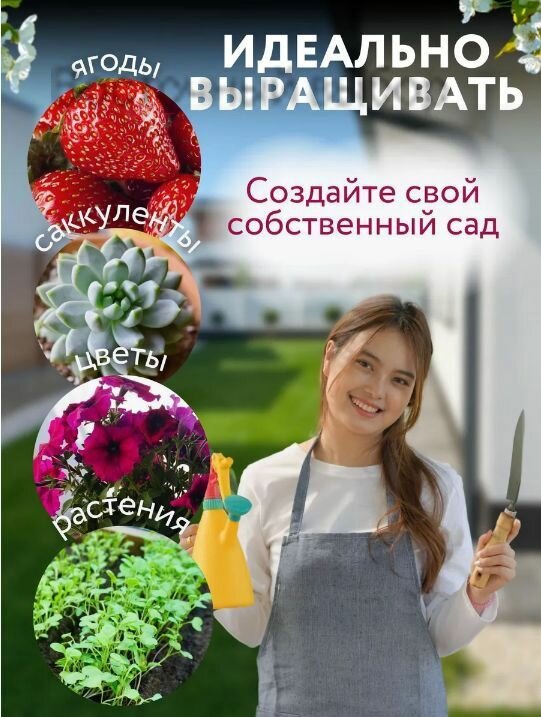 Грядка — фото 1