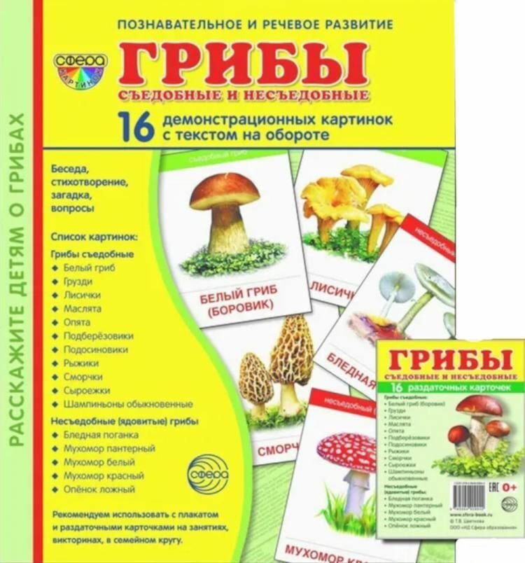 Грибы съедобные и несъедобные (комплект из 32 карточек, 2 формата. 173х220 и 63х87)