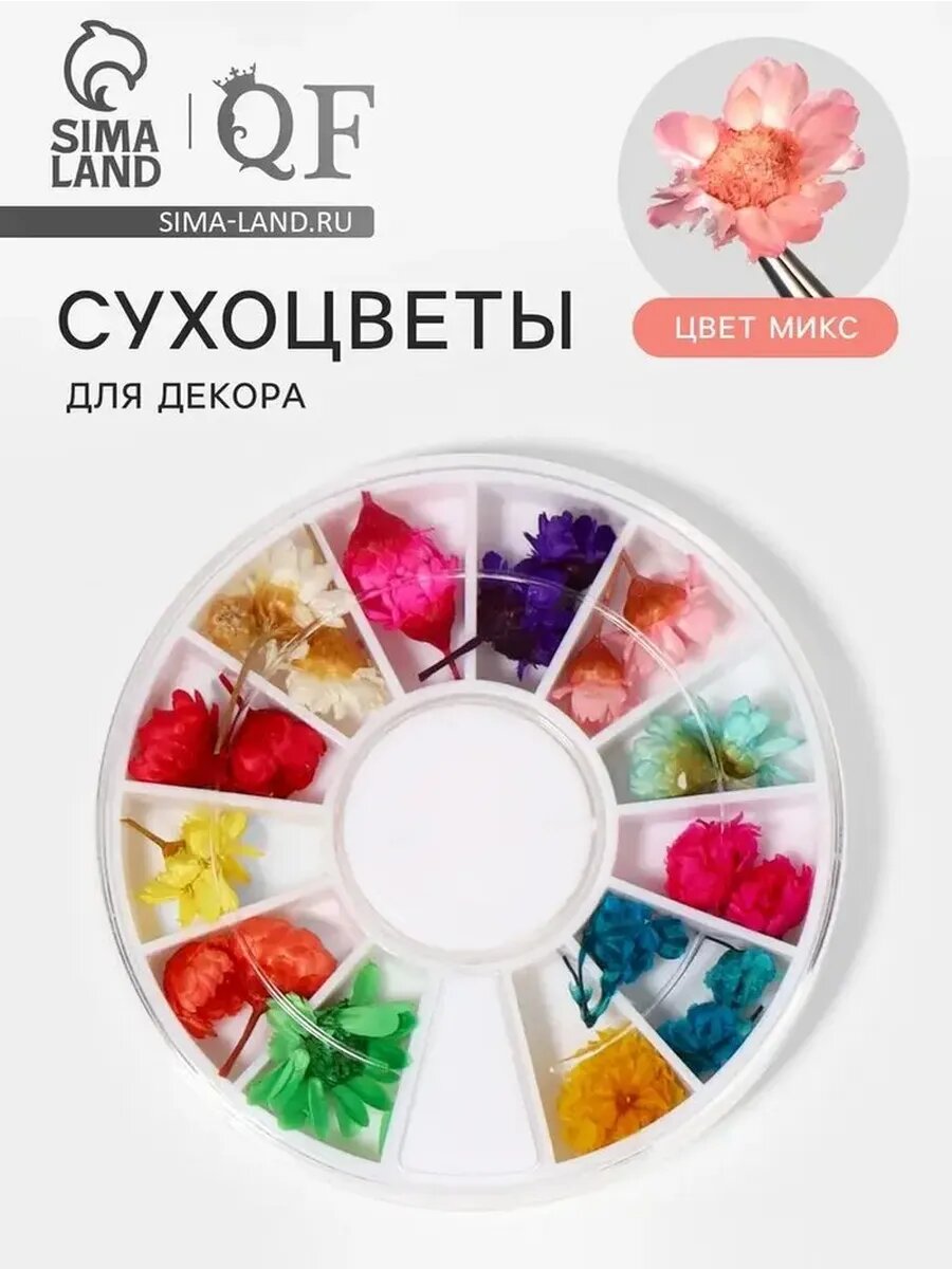 Яркие сухоцветы для ногтей и декора