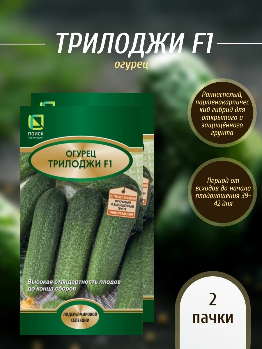 Огурец Трилоджи-2 пачки по 10 семян