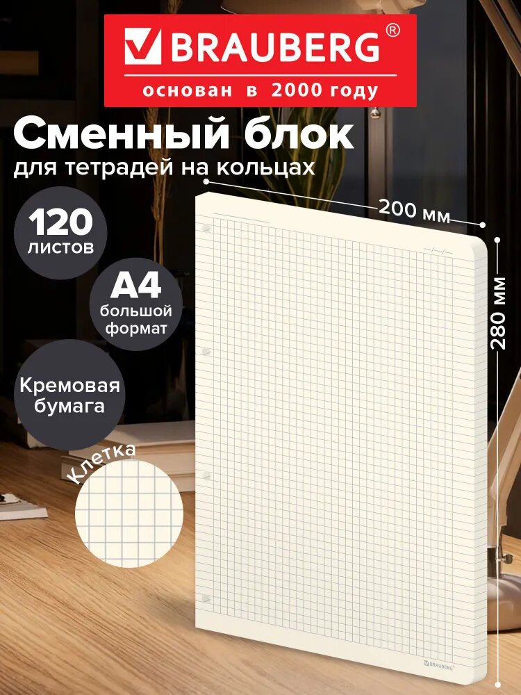 Сменный блок / листы для тетрадей на 4 кольцах формата А4 120 листов, Brauberg, Повышенной Плотности, кремовый