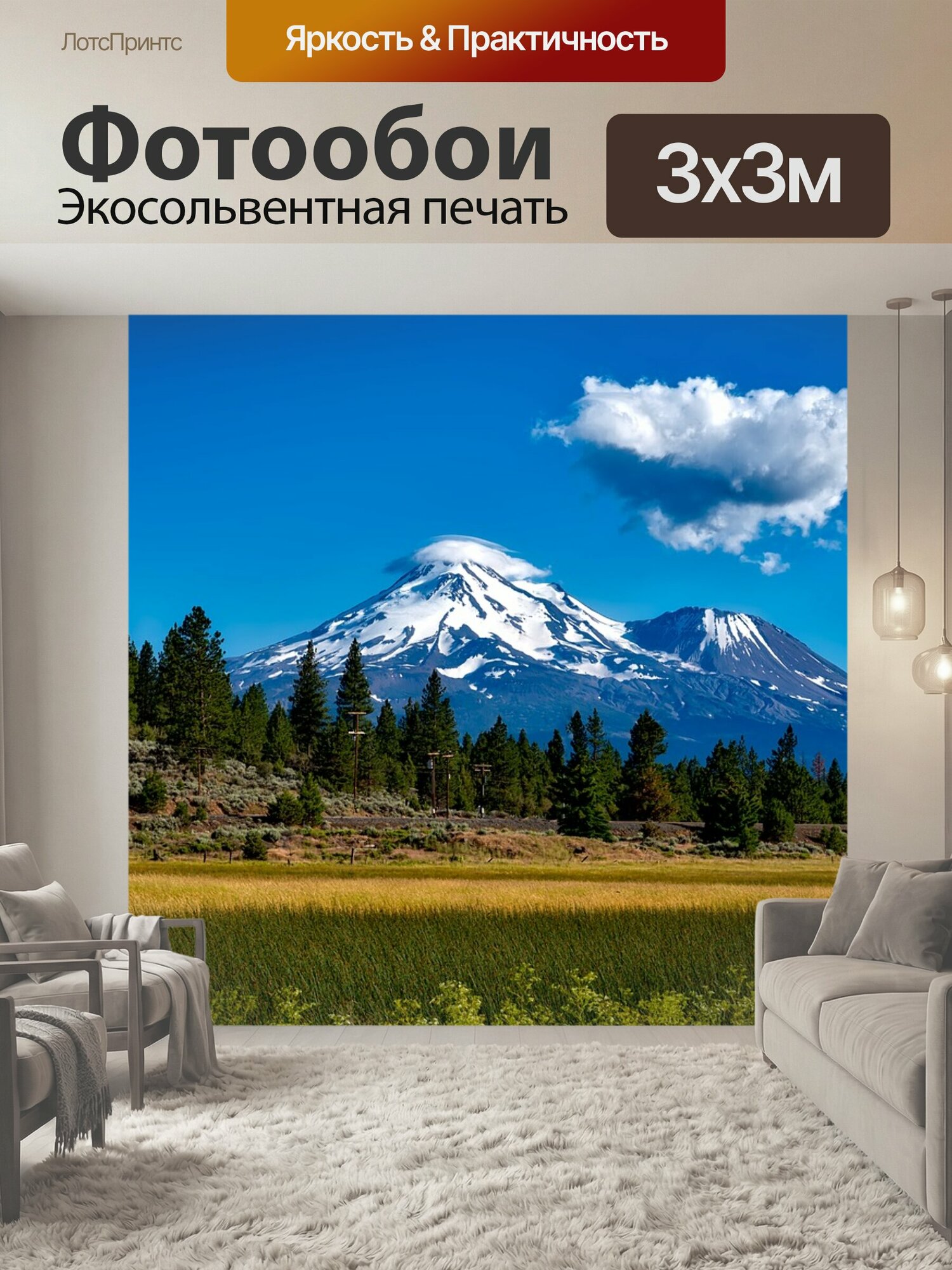 Фотообои "Гора шаста, калифорния, вулкан" 300x300 см. экосольвентная печать
