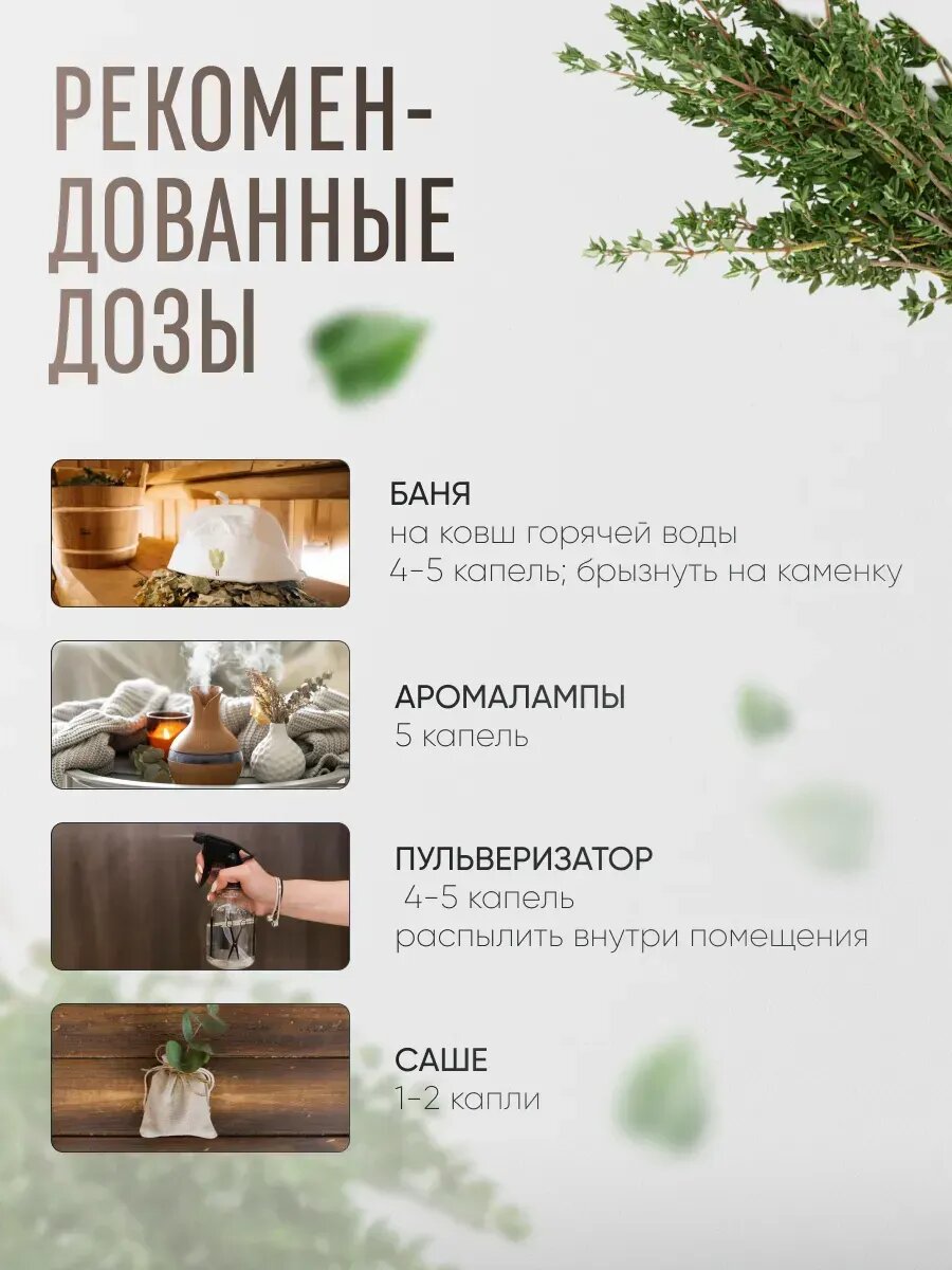 Эфирное масло Чабрец — фото 1