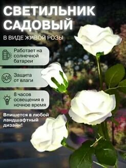 Уличный светильник