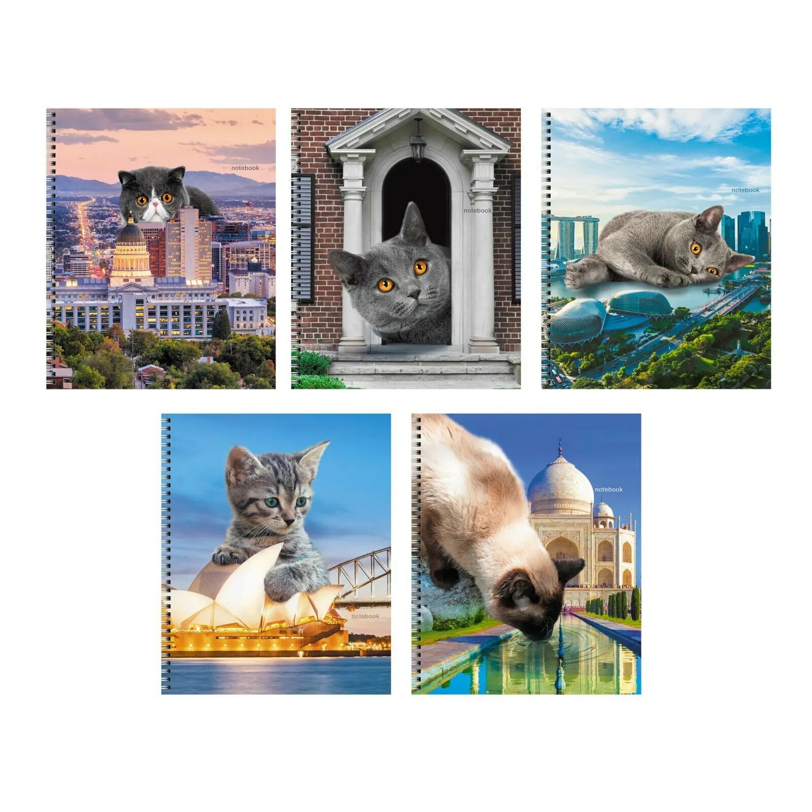 Тетрадь в линейку Listoff, "Коты в городе!", 60 листов, в ассортименте