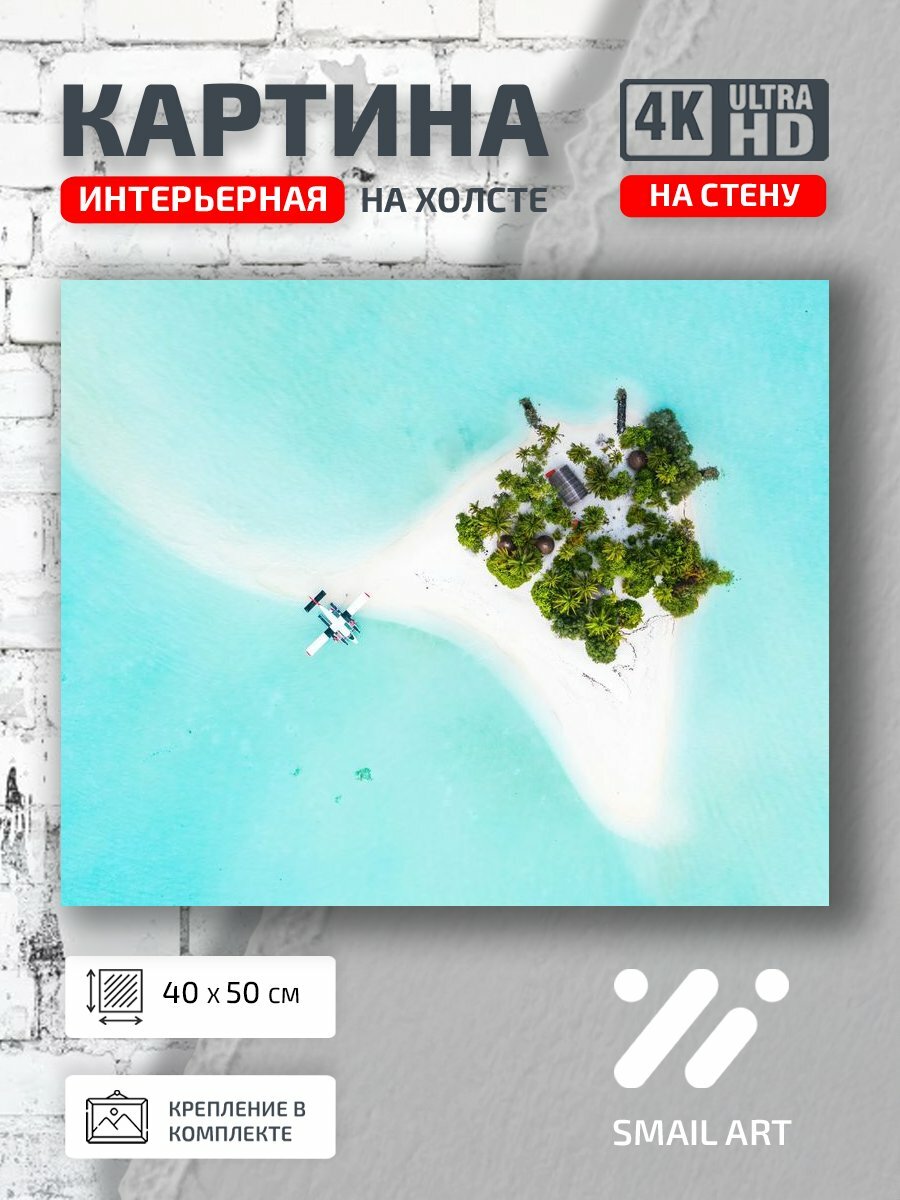 Картина на холсте интерьерная 40 на 50 на стену Самолет Landscape для спальни пейзаж декор