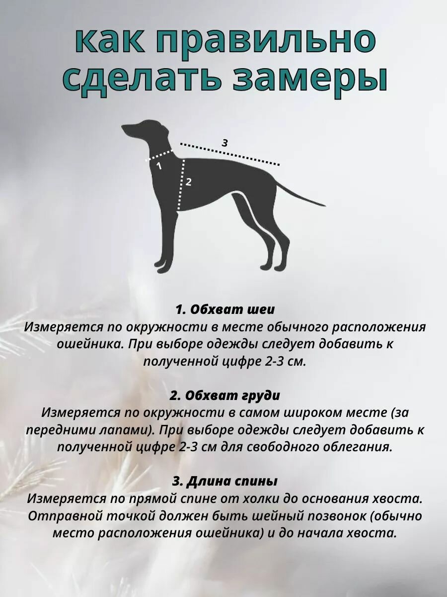 Одежда для животных — фото 1