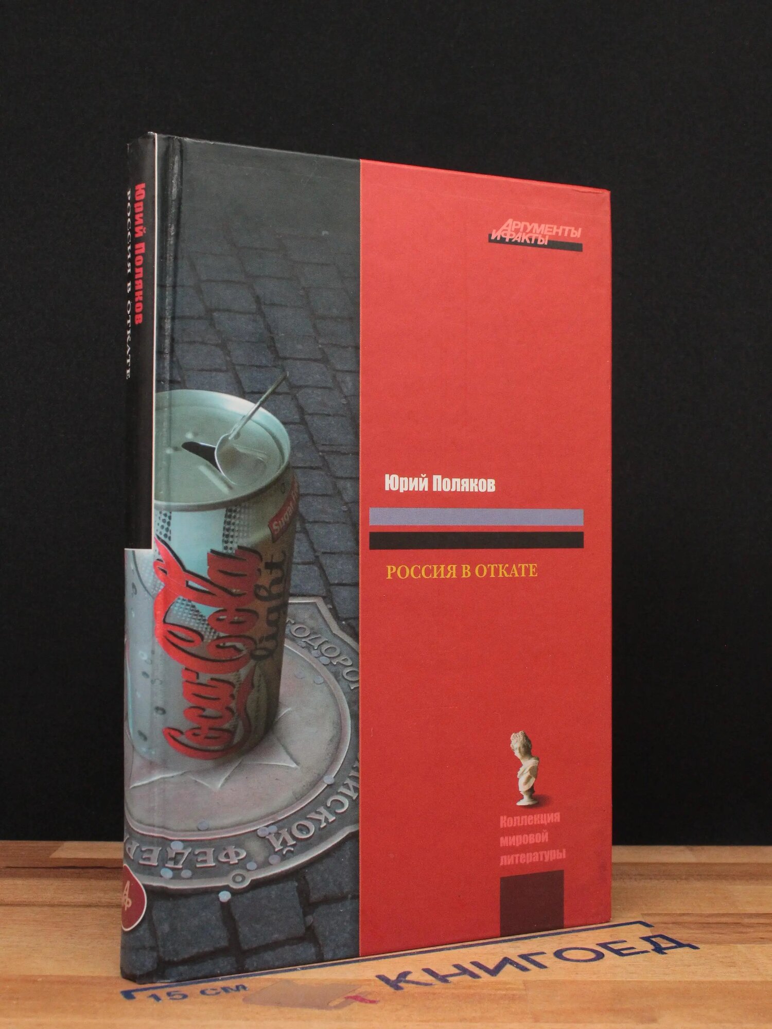 Книга. Россия в откате 2009 (20373946686139)