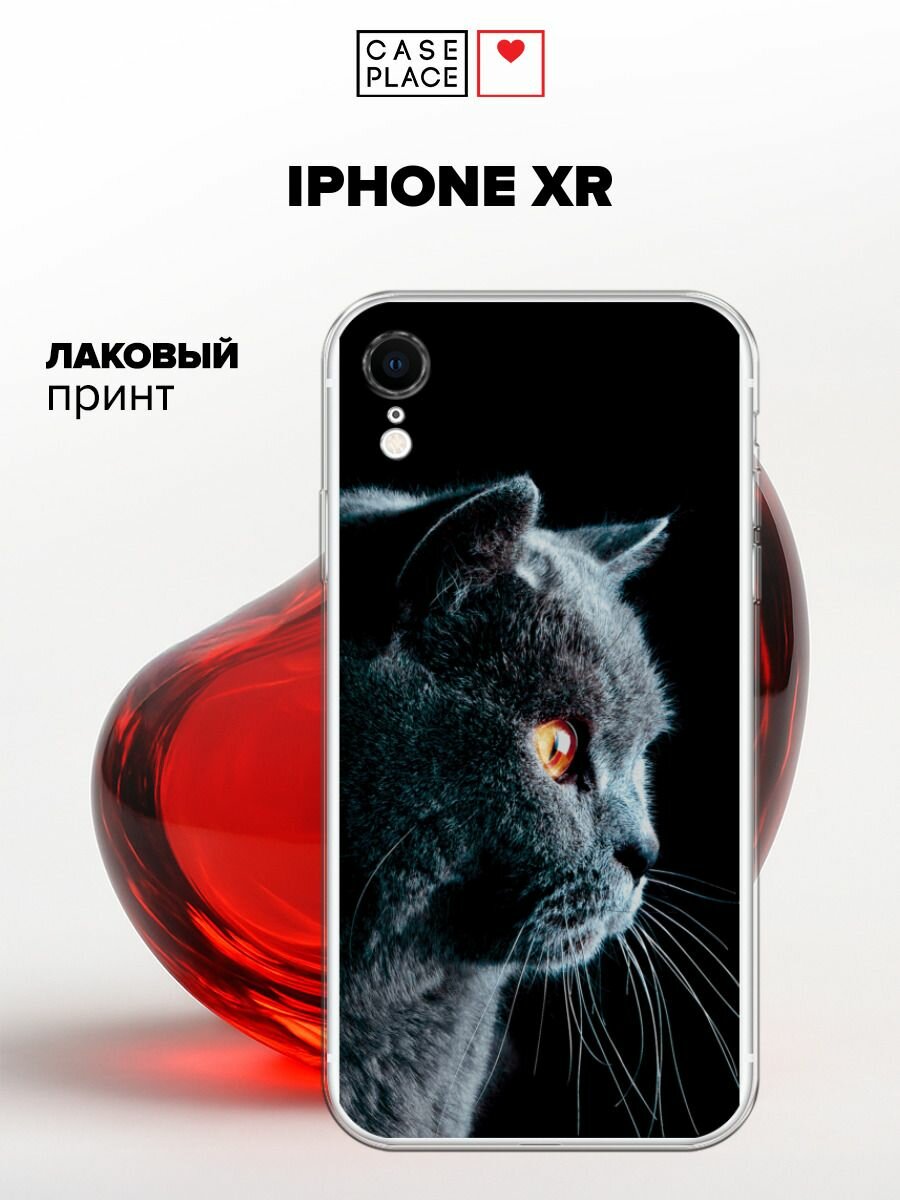 Силиконовый чехол на Apple iPhone XR / Айфон XR с принтом Благородный кот британец