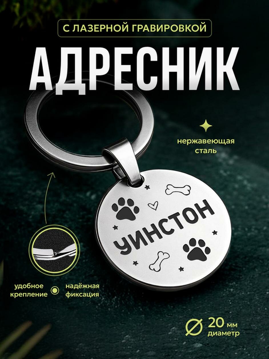 Адресник для собаки и кошки с гравировкой, нерж. сталь, серебристый, Уинстон