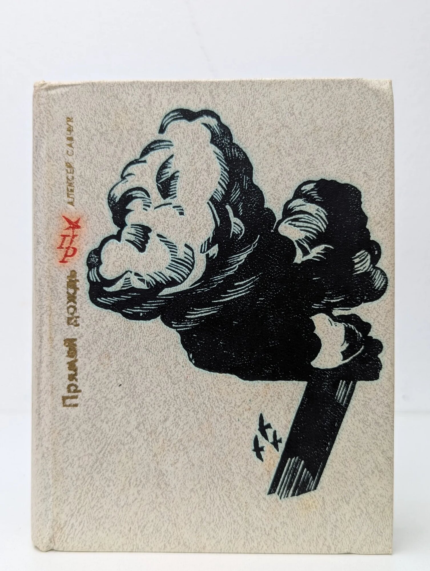 Прямой дождь Савчук Алексей 1980