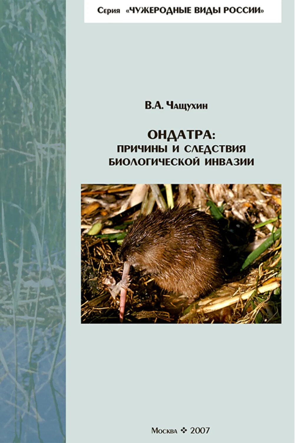 Ондатра: причины и следствия биологической инвазии [Цифровая книга]