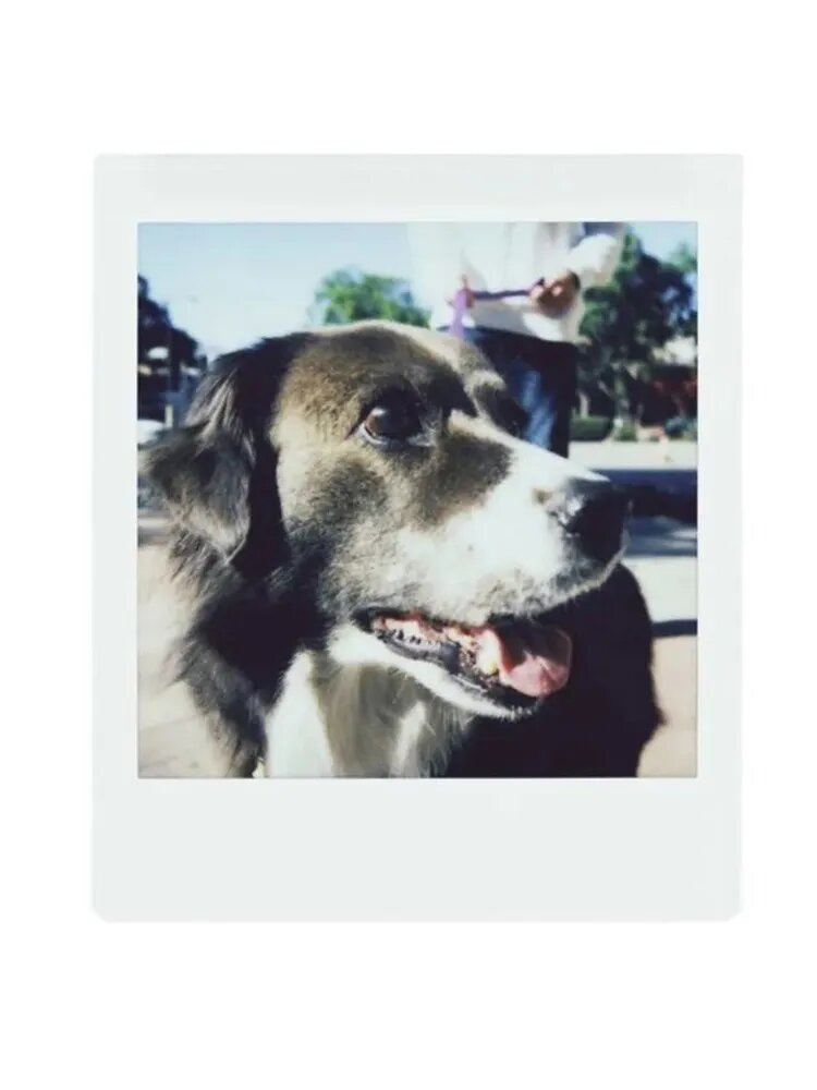 Мини-принтер Fujifilm Instax Square сублимационный, Монохромный для печати фотографий 10x2 — фото 1