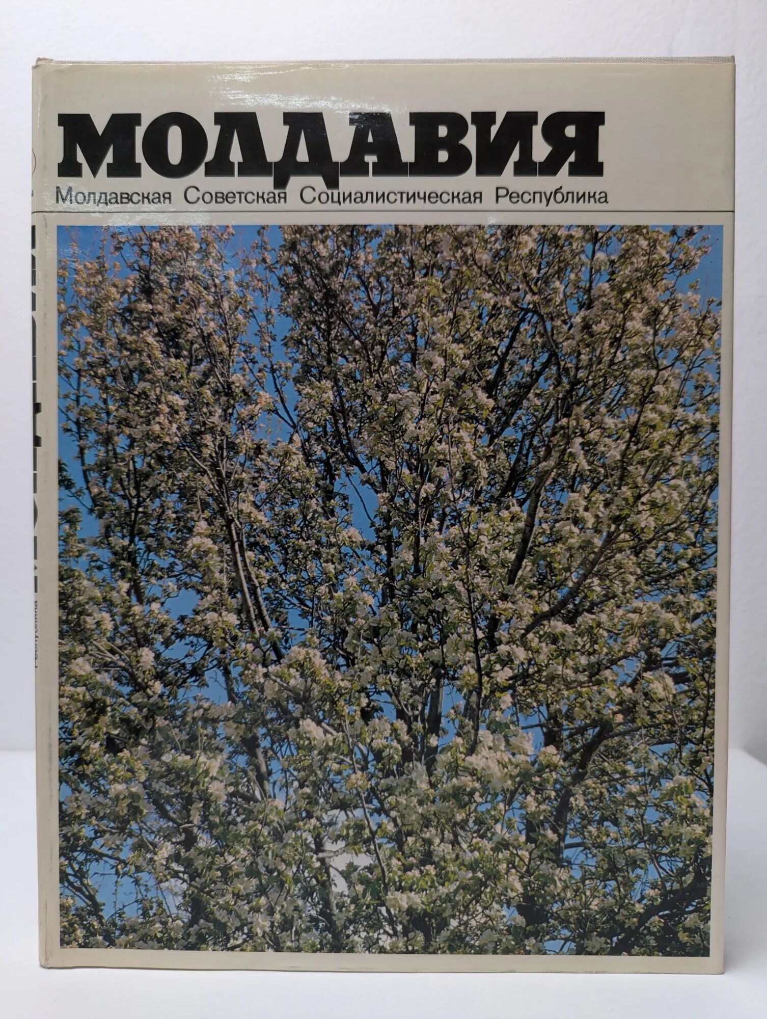 Молдавия Марин Георгий Иванович (ред.) 1980