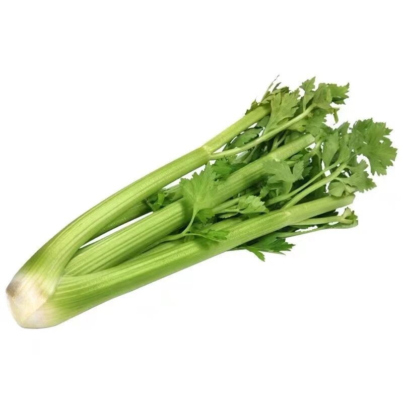 Семена овощной клубники See-D.008