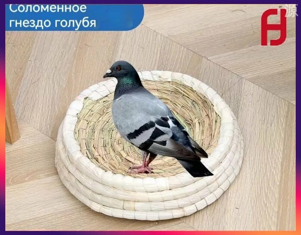 Уютное гнездышко для голубя