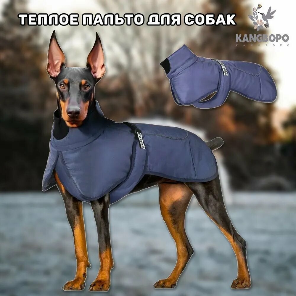 Одежда для животных/попона теплая для собак, Унисекс,5XL, синий