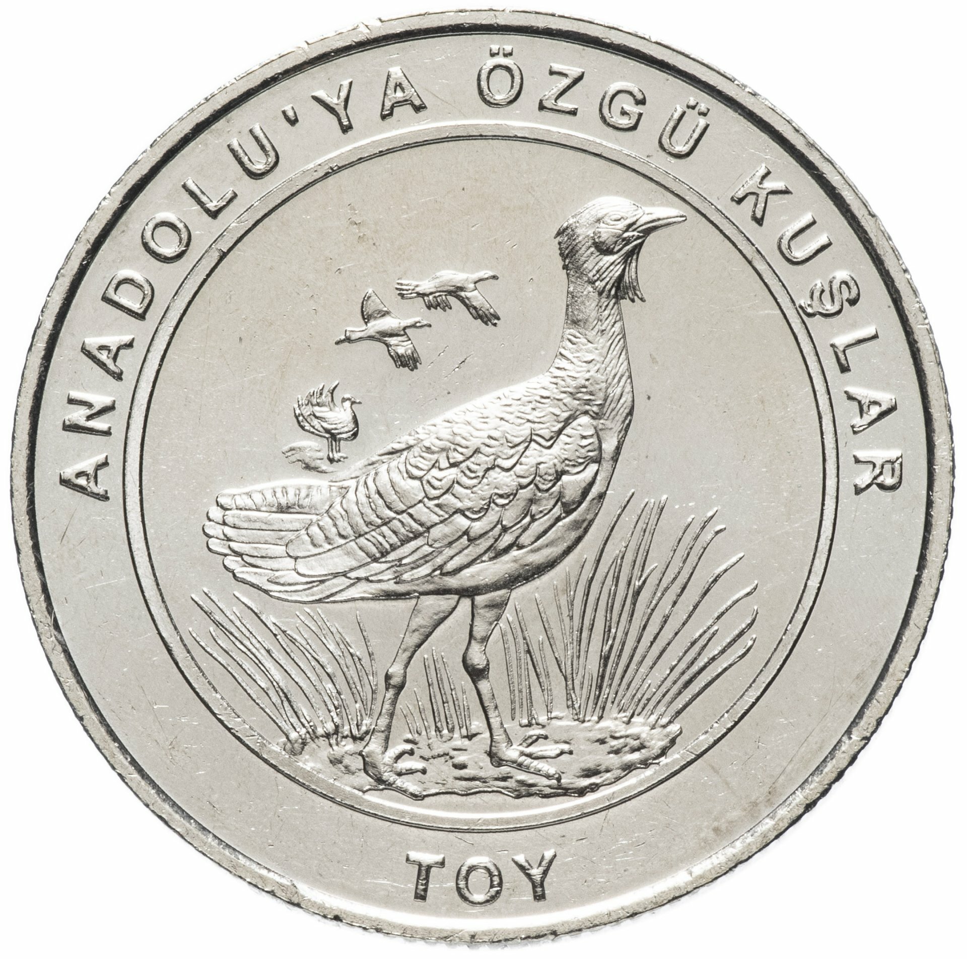 Турция 1 куруш, 2018 "Дрофа" Серия "Птицы Анатолии", Медь, в сохранности UNC