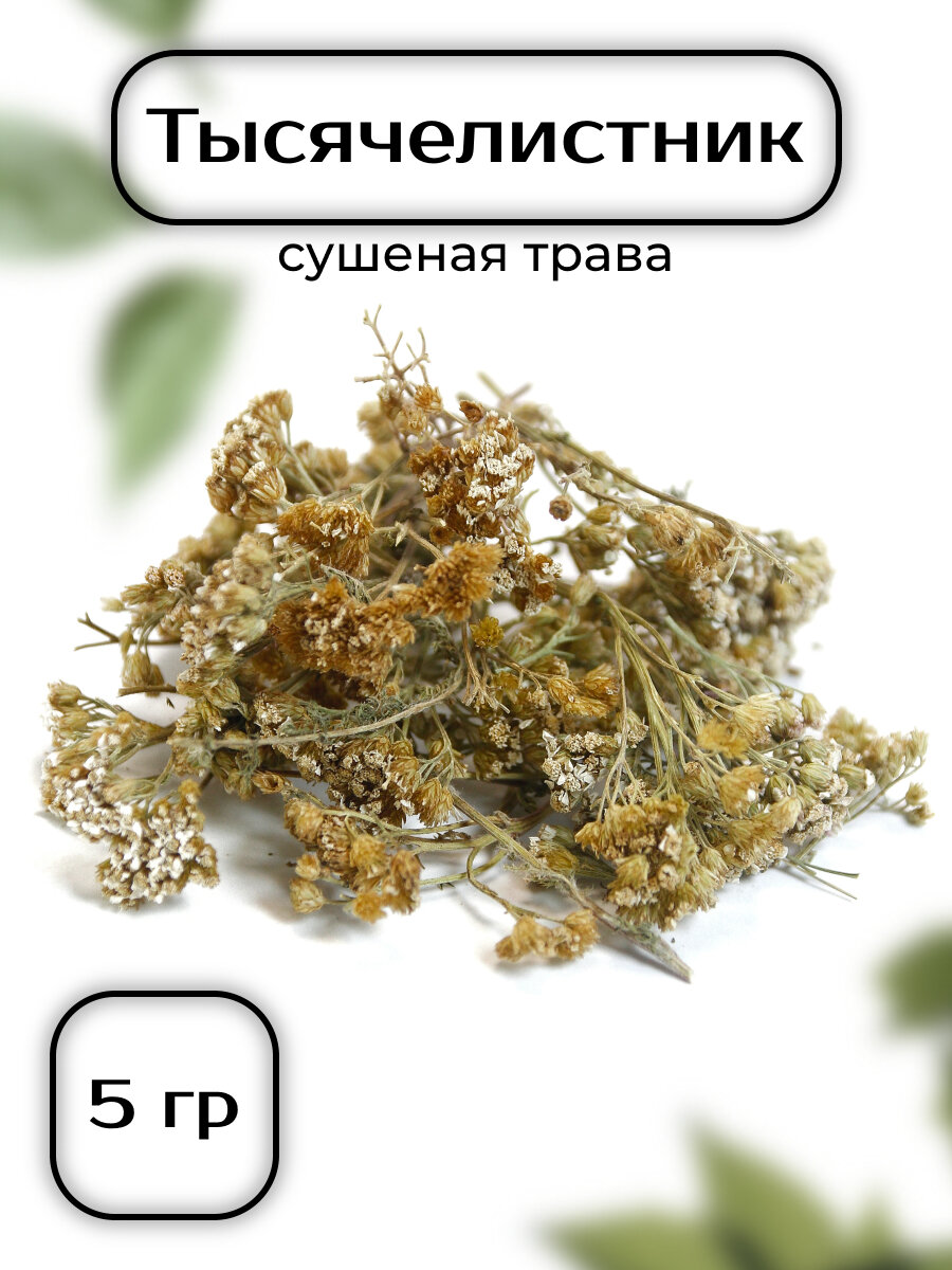 Тысячелистник сушеная трава 5 гр - сухоцветы для свечей, творчества и ритуалов