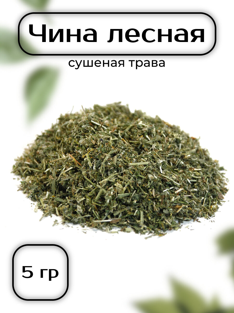 Чина лесная сушеная трава - 5 гр