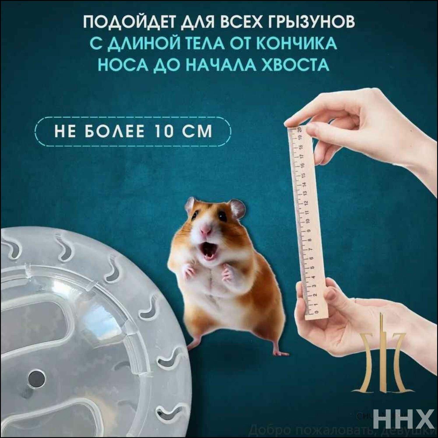 Игрушка для животных — фото 1