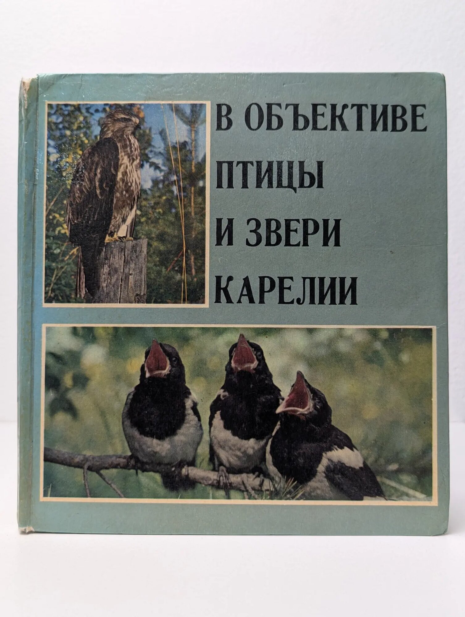 В объективе птицы и звери Карелии Сборник 1974