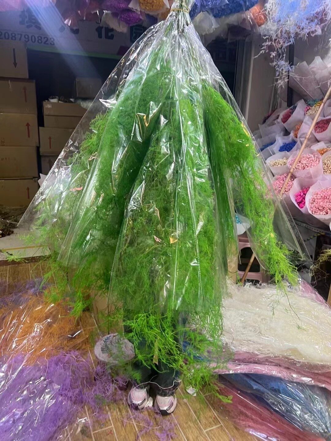 2025 Вечный цветок аспарагус, сушеный цветок, настоящий цветок, домашний декор, свадебная композиция, мягкий декор, флористическое искусство, прессованный цветок