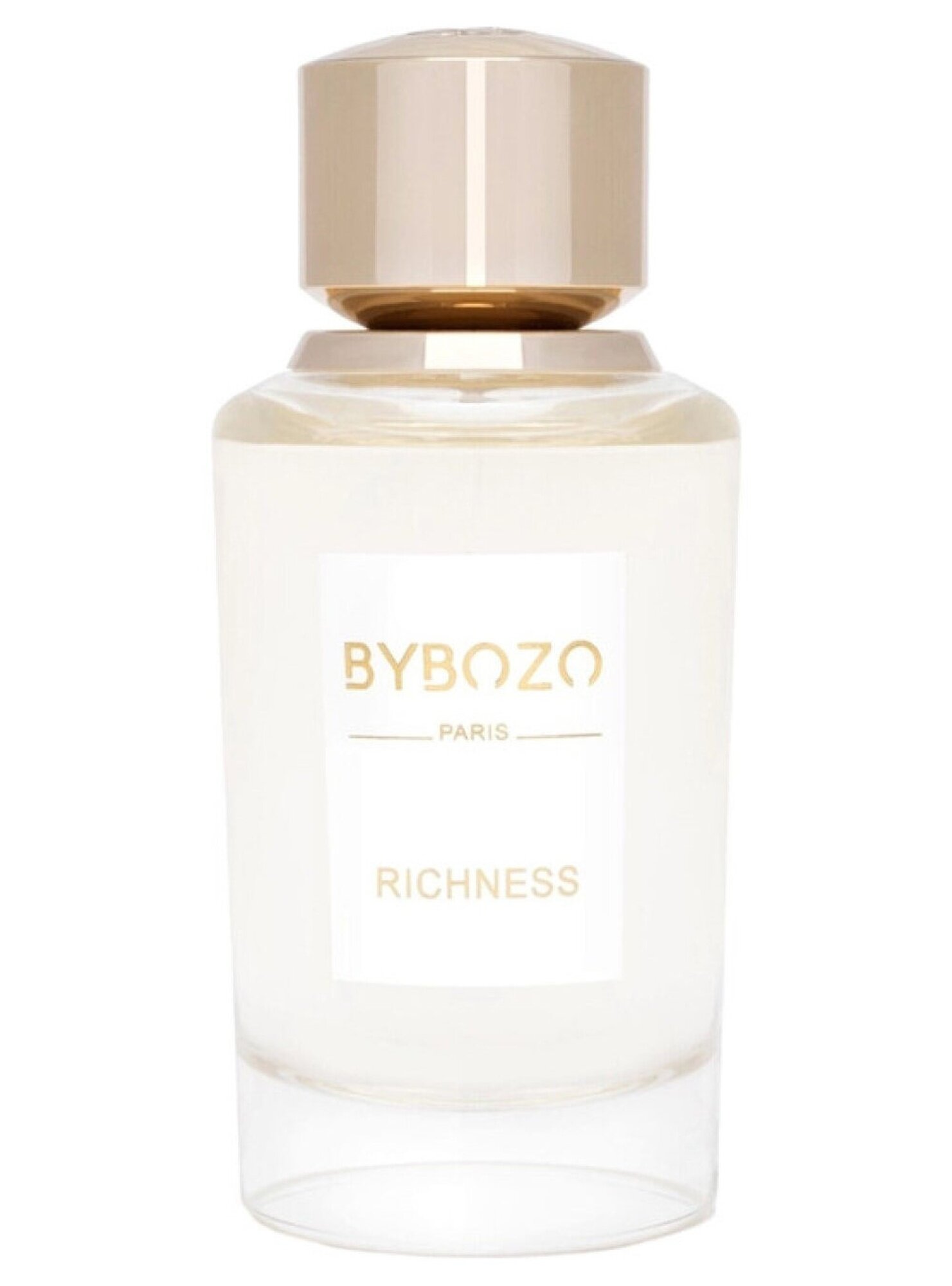 Парфюмерная вода ByBozo "Richness", женская, альдегидная, 75 мл