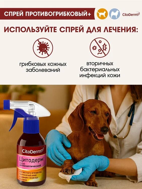 Спрей CitoDerm противогрибковый+, 50 мл, 50 г, 1уп. для собак и кошек — фото 1