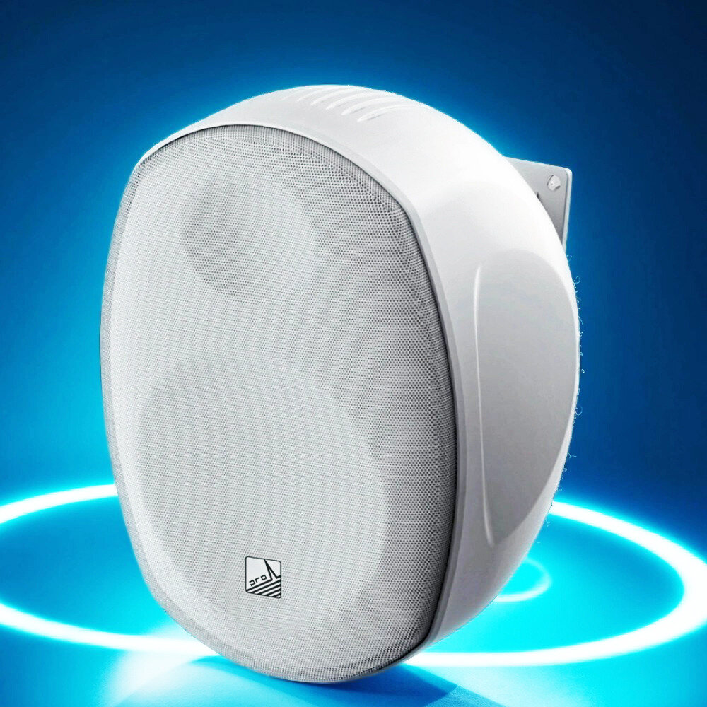 Акустика универсальная трансляционная Урал x ARIS J.V. Климат-5T W