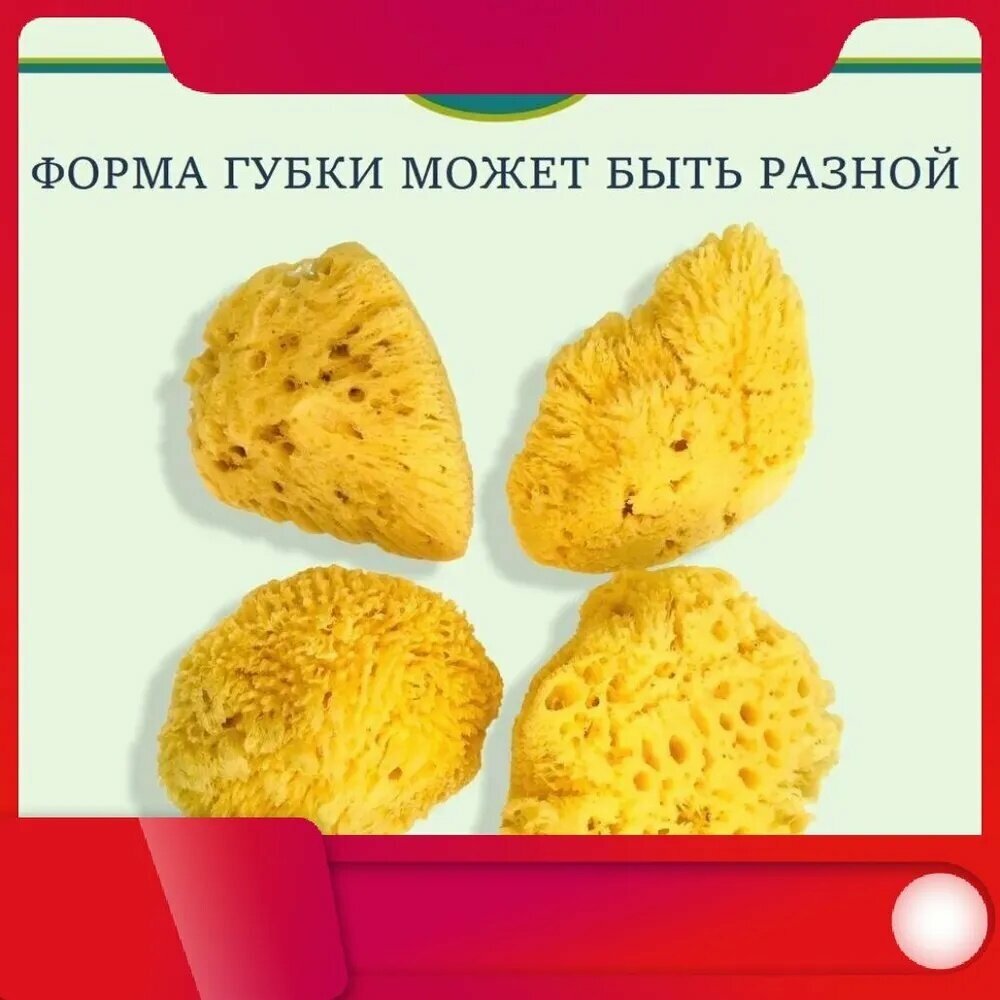 Мочалка — фото 1