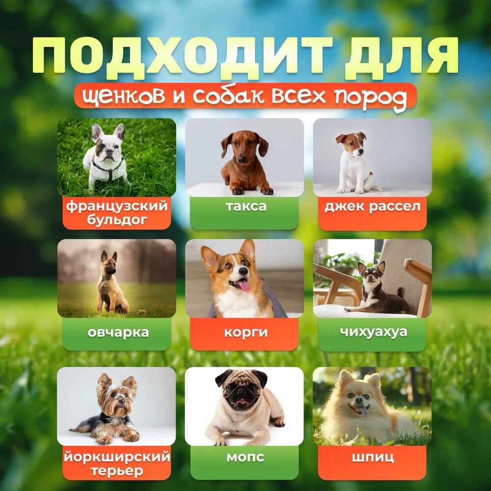 Игрушка для животных — фото 1