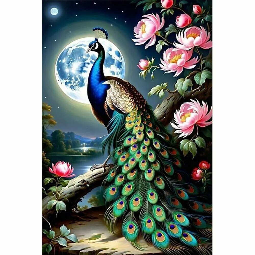 Набор для творчества с животными Павлин, 40x60 см, холст, рисование по номерам