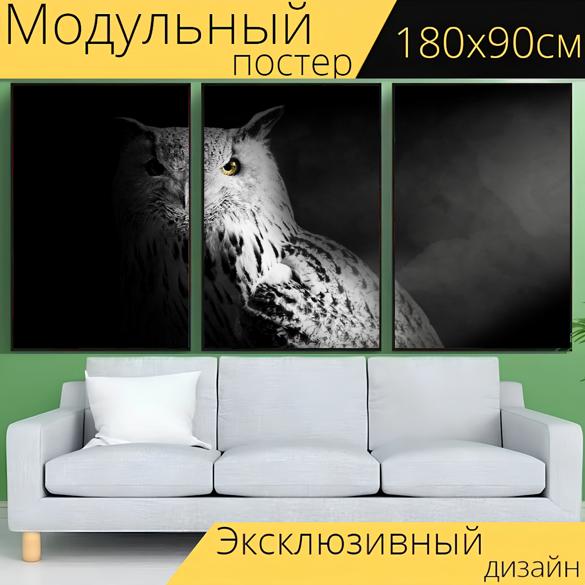 Модульный постер "Сова, сова, изолированные" 180 x 90 см. для интерьера на стену в тубусе