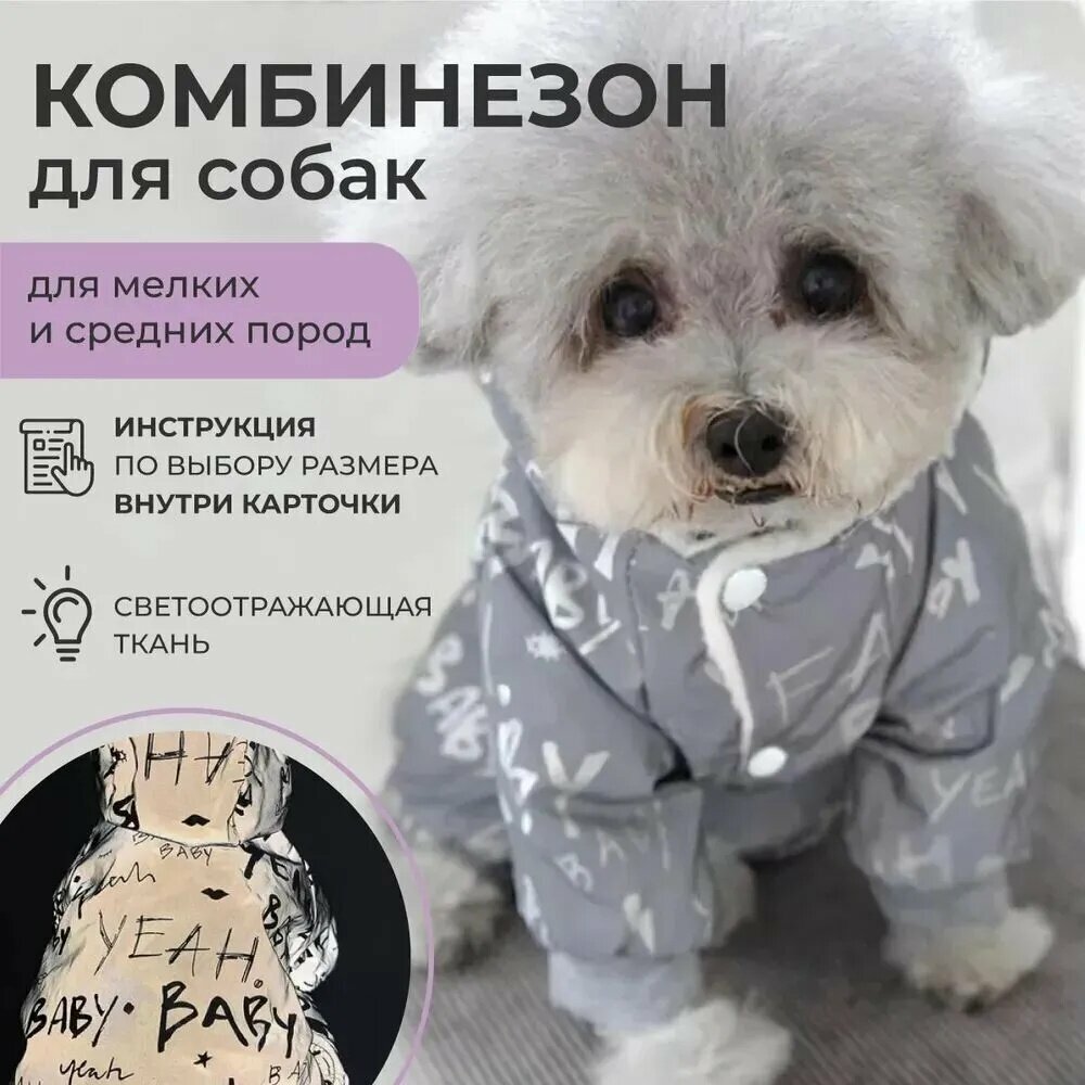 Одежда для животных