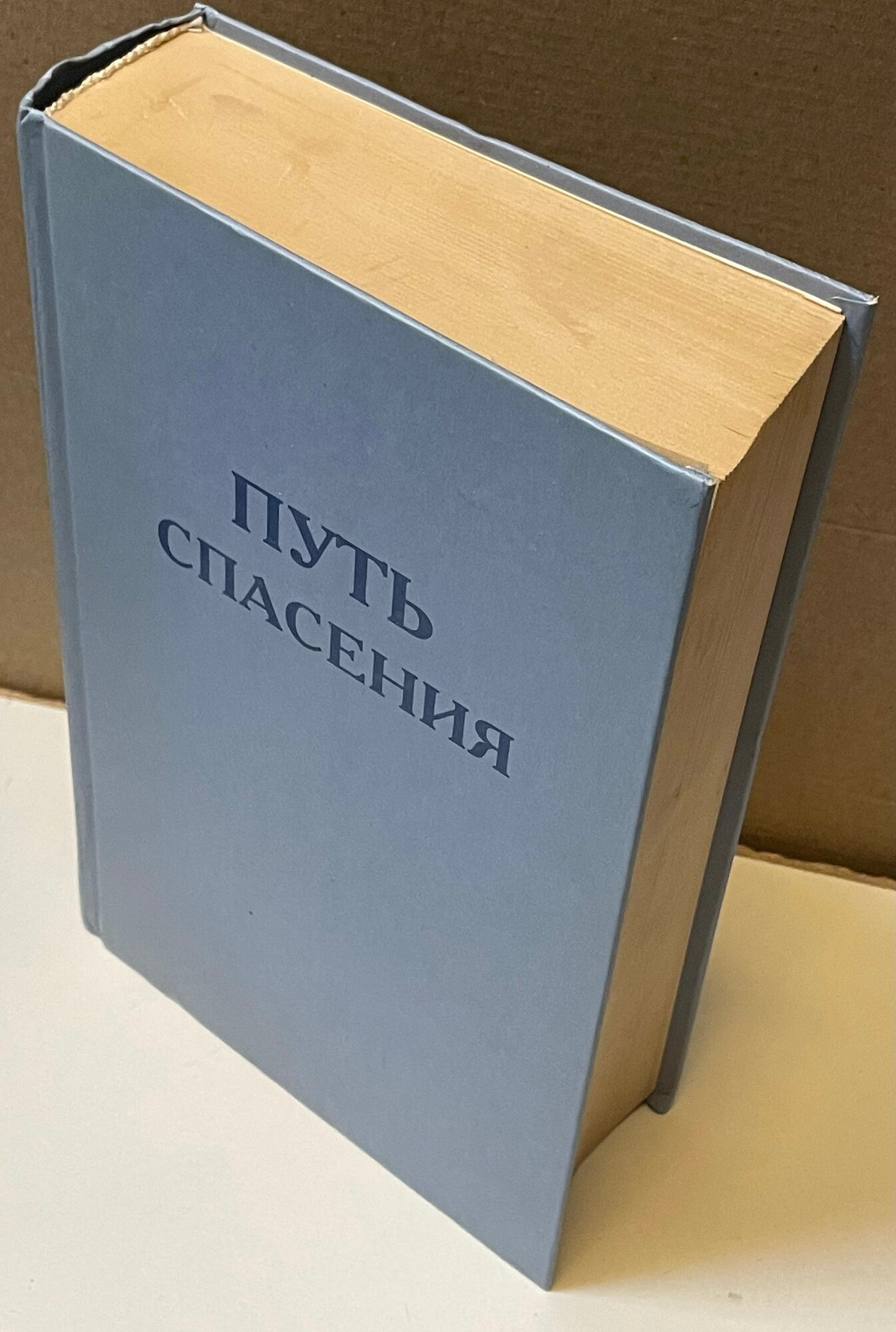 Путь спасения. — фото 1